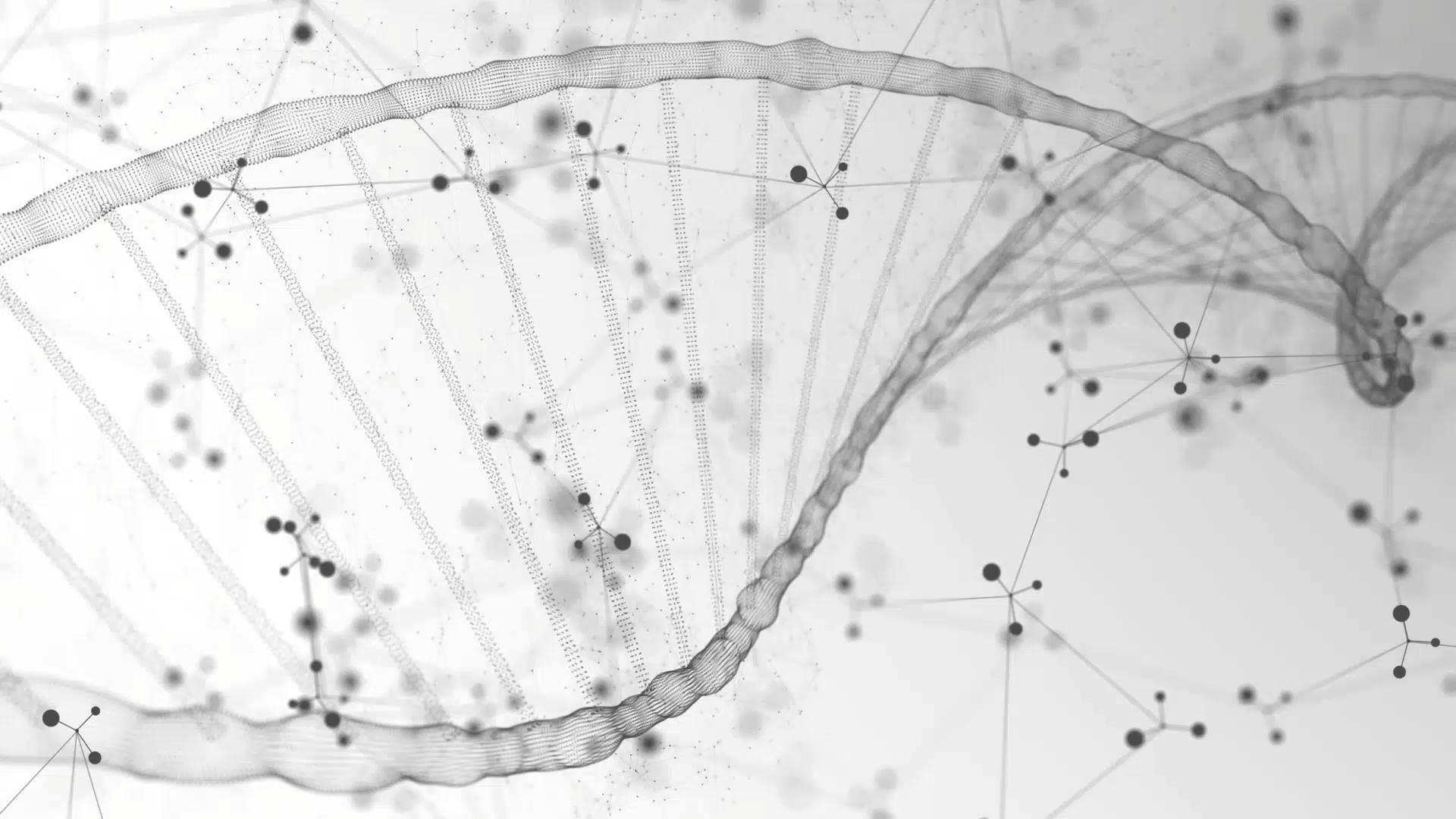 VIVID PROCESS TECHNOLOGY